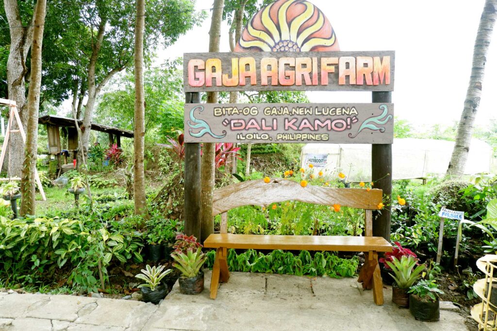 5 Places for a Perfect Summer Picnic in Iloilo and How to Plan
